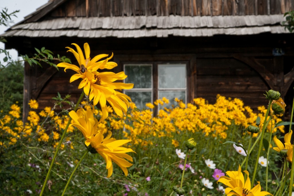 Visit the Polish countryside: Northern Poland. GoToPoland.eu