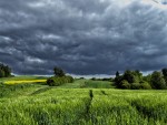 Poland: a paradise for observers of wild animals. Wildlife spotting Poland